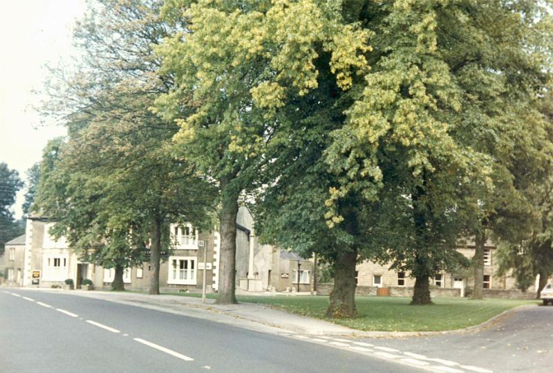 Exit/Old Photographs of Long Preston/Houses/New Green and Maypole 1970